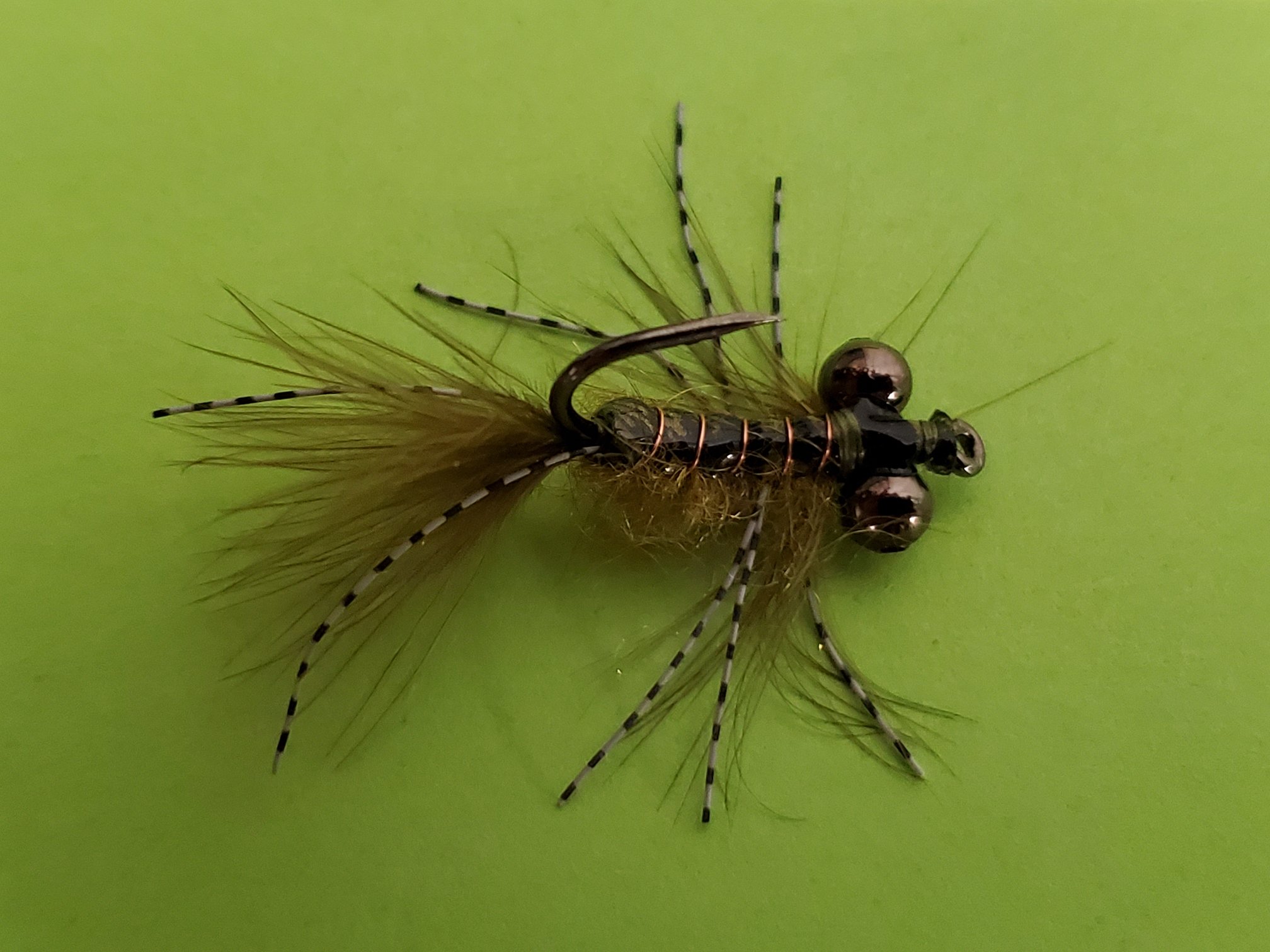 Damselfly Nymph - The Carp Catcher