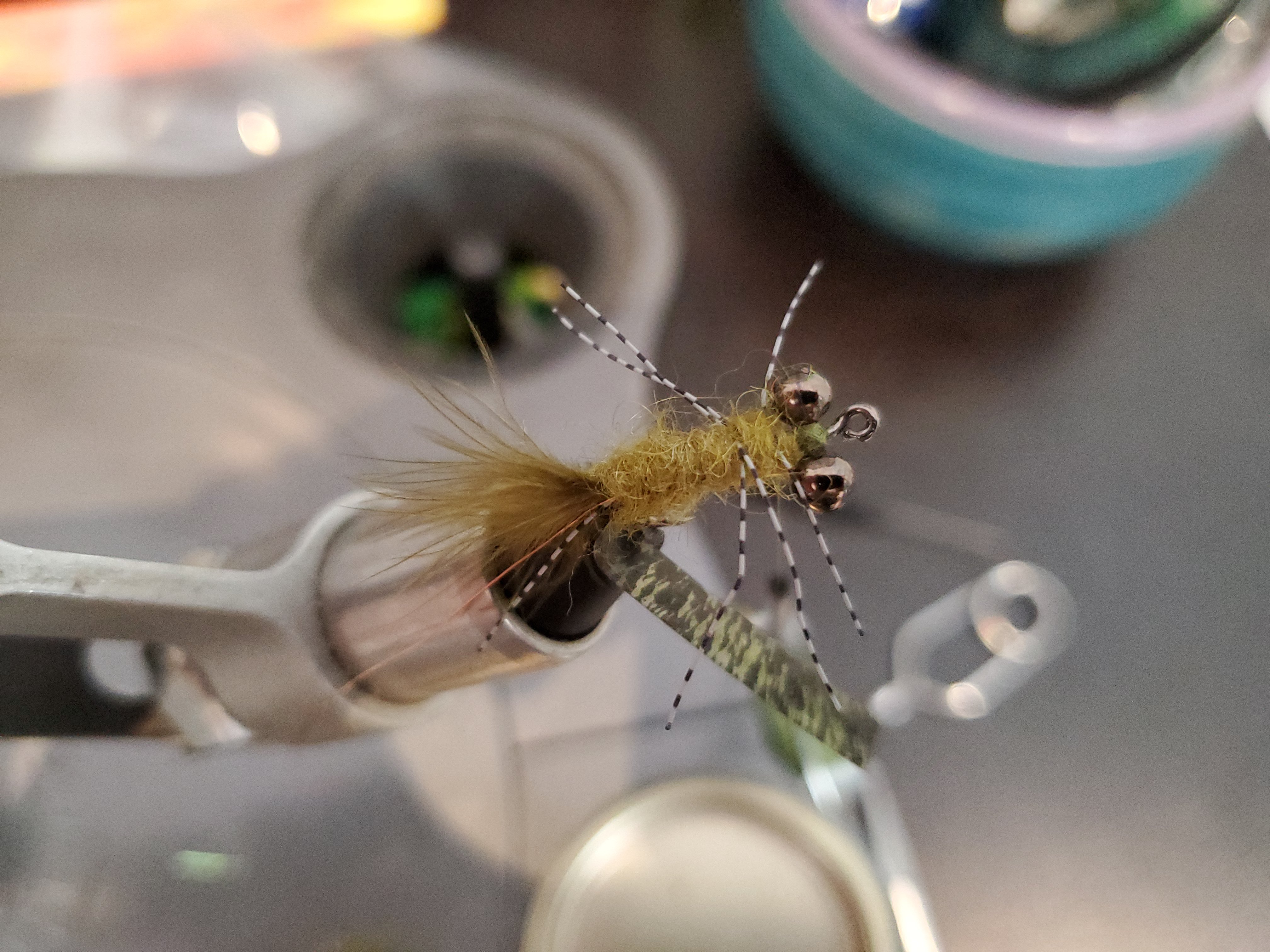 Damselfly Nymph - The Carp Catcher