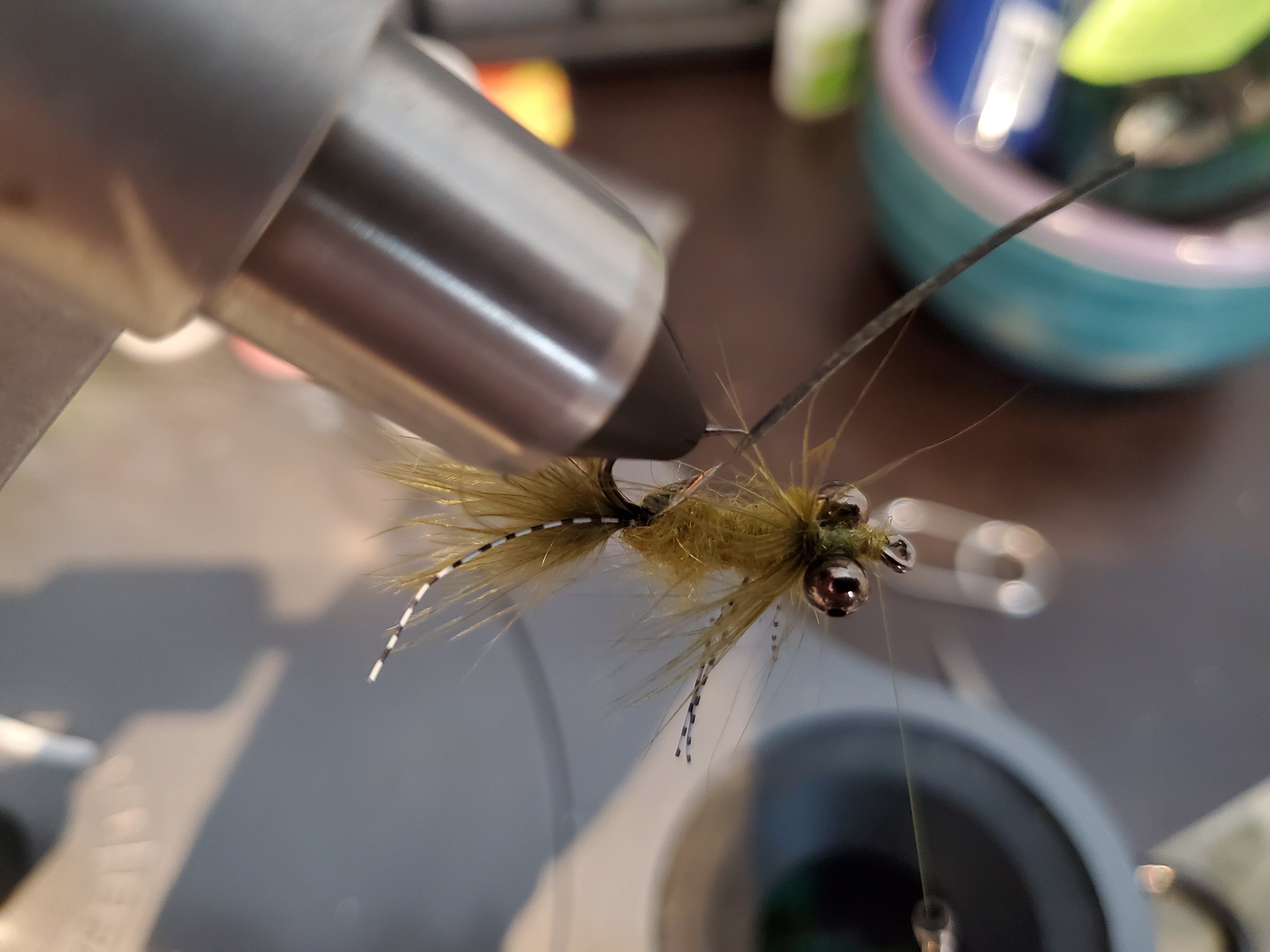 Damselfly Nymph - The Carp Catcher